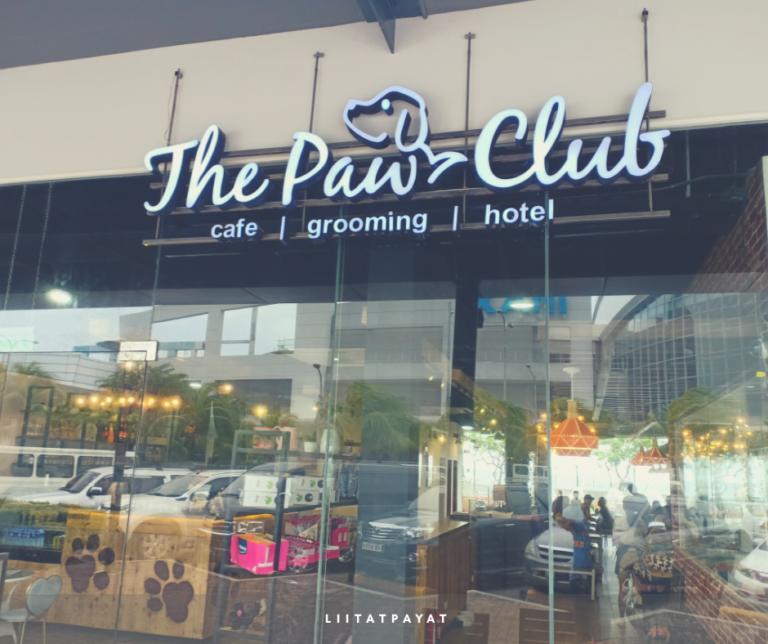 The Paw Club PH: must-visit pet-friendly restaurant in Manila - Liit at ...